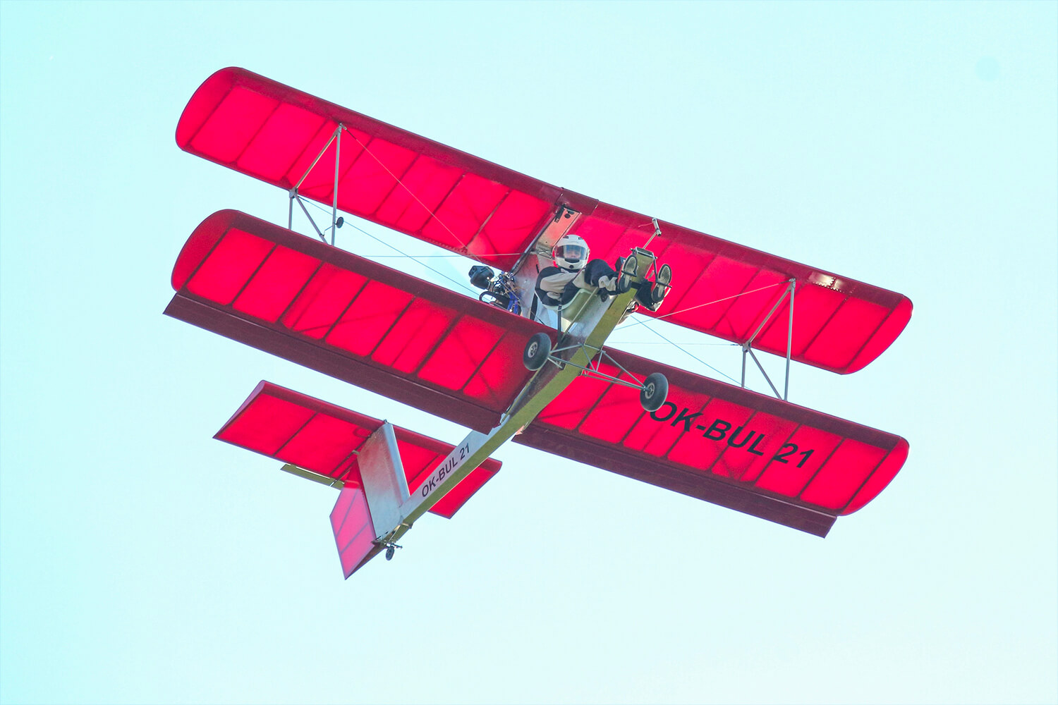 Fly-dingo – Fly-dingo